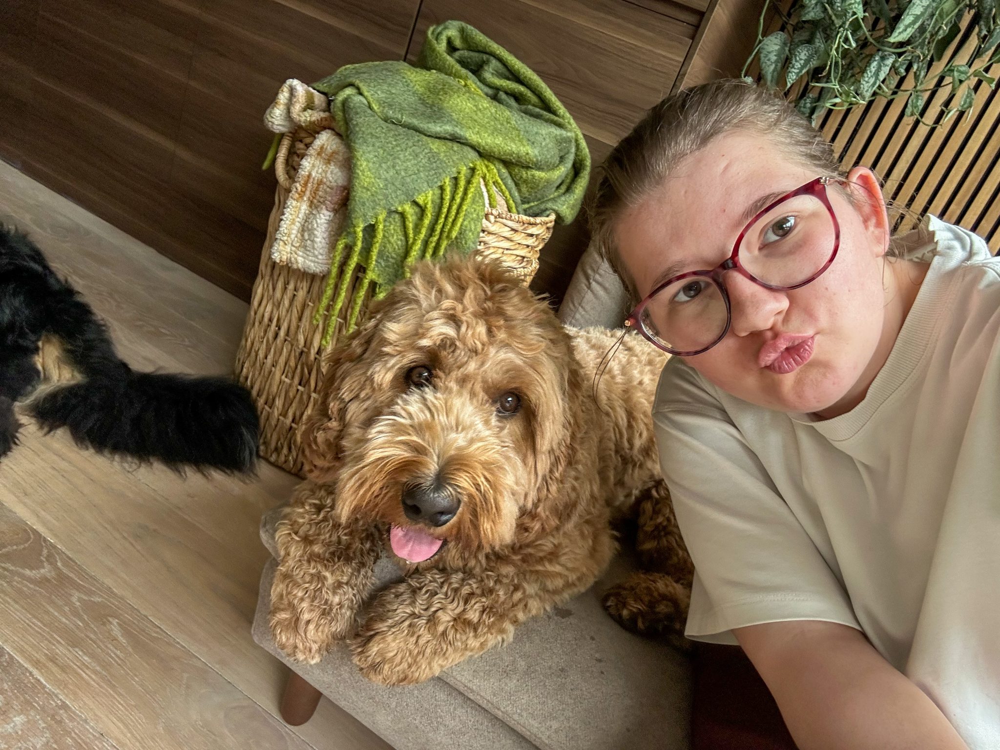 Thuis bij familie over de kook: week 37 - kijkje achter de schermen